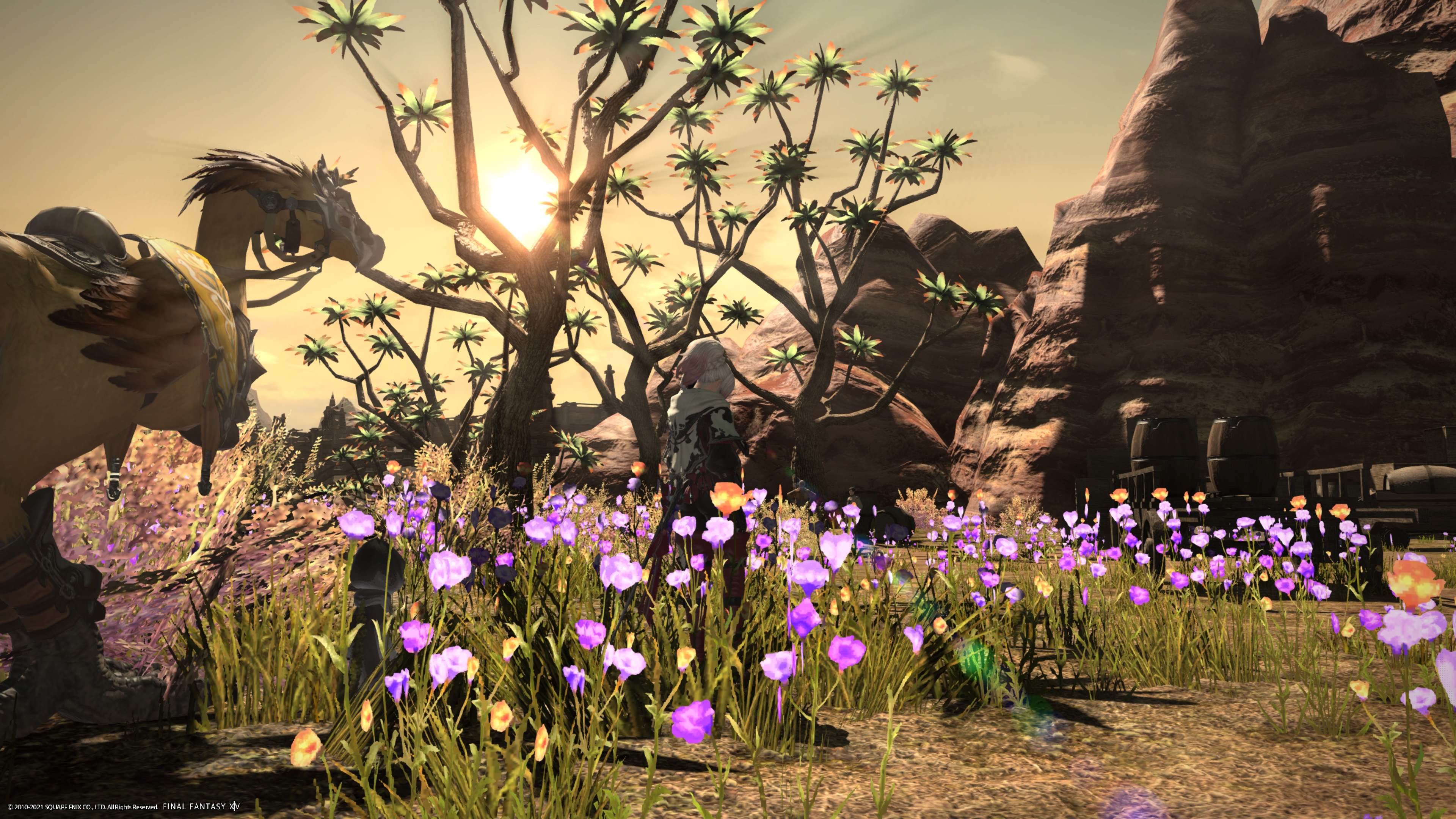 Gallery | ...rpg-o-mania...